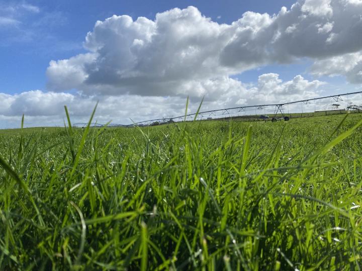 Home | Southern Rural Water